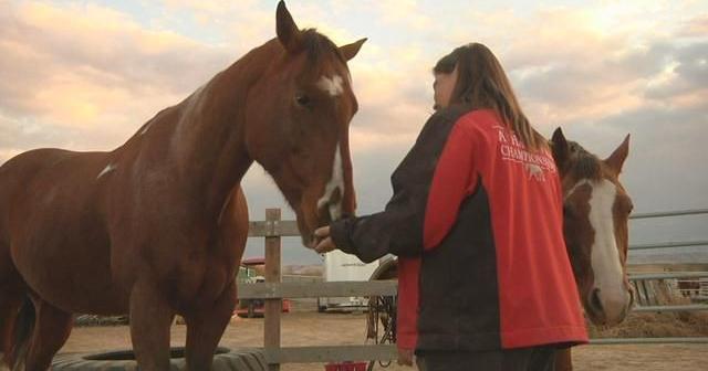 Longmire ranch in Touchet provides therapy through their horses ...