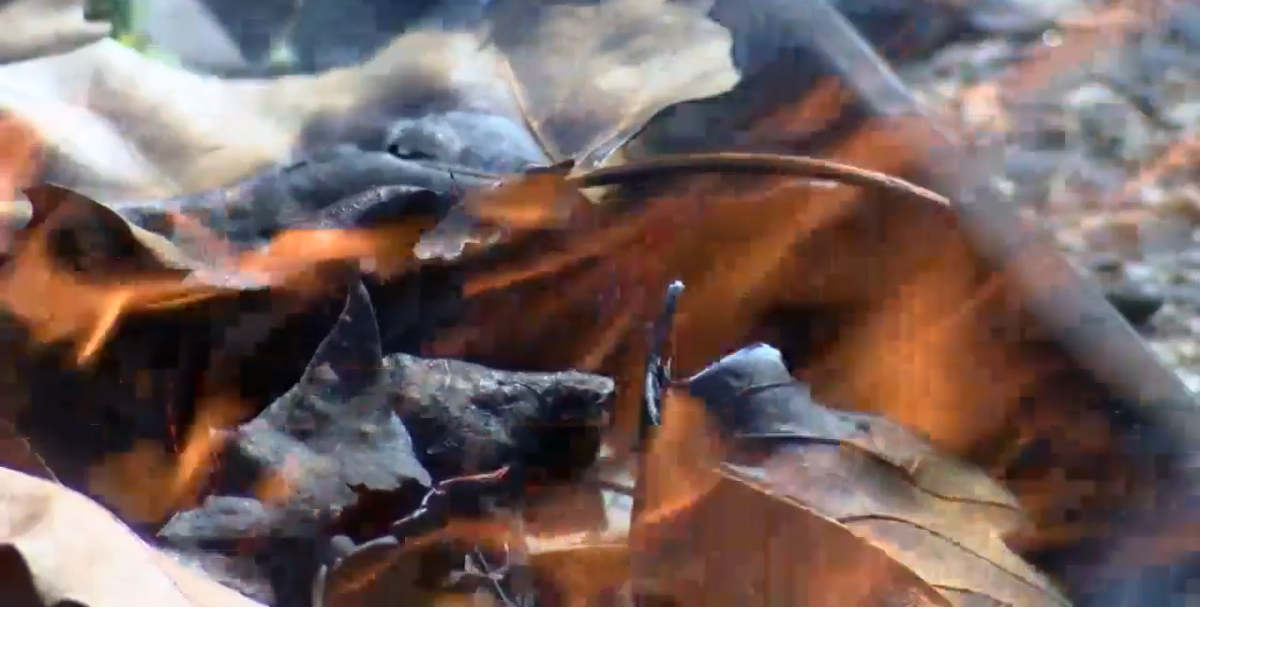 Prepare for wildfire season with tips from the Red Cross and Fire ...