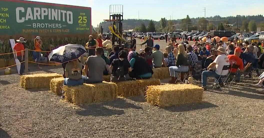 Carpinito Brothers Pumpkin Patch hosts annual weigh-off in Kent | News ...