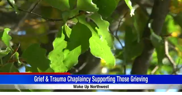 Grief & Trauma Chaplaincy supporting those grieving | Top Story ...