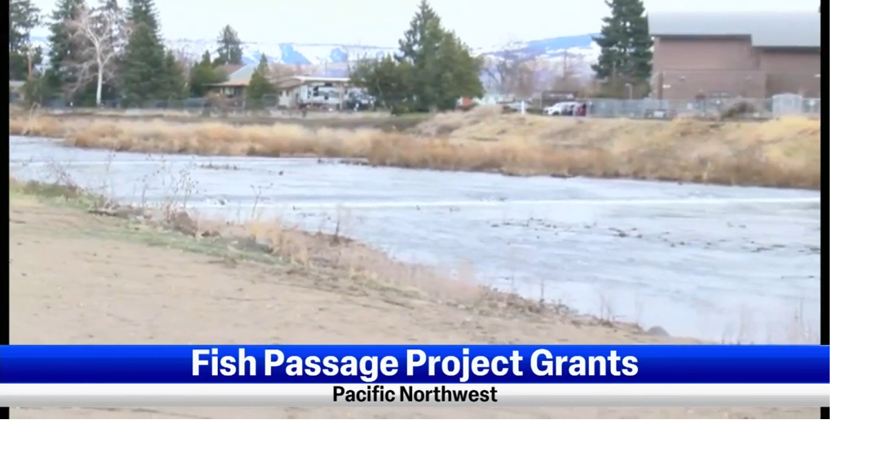 Nearly $105 million in grants for Fish Passage Project across the US ...