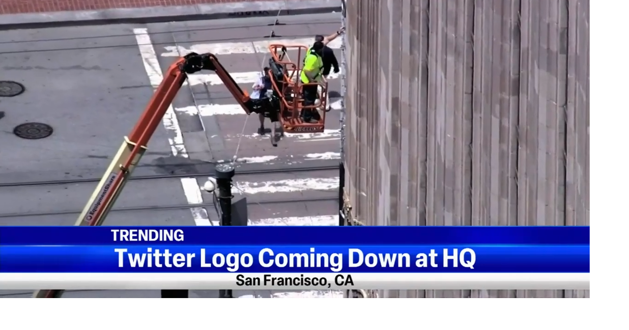 Trending: Twitter bird removed | Top Video | nbcrightnow.com