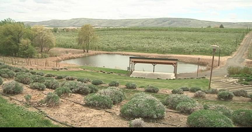 Gilbert Cellars Hackett Ranch Offers New Entertainment for West Valley ...