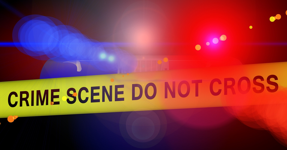 Man who chewed off the ear of 78-year-old man on Oregon train platform ...