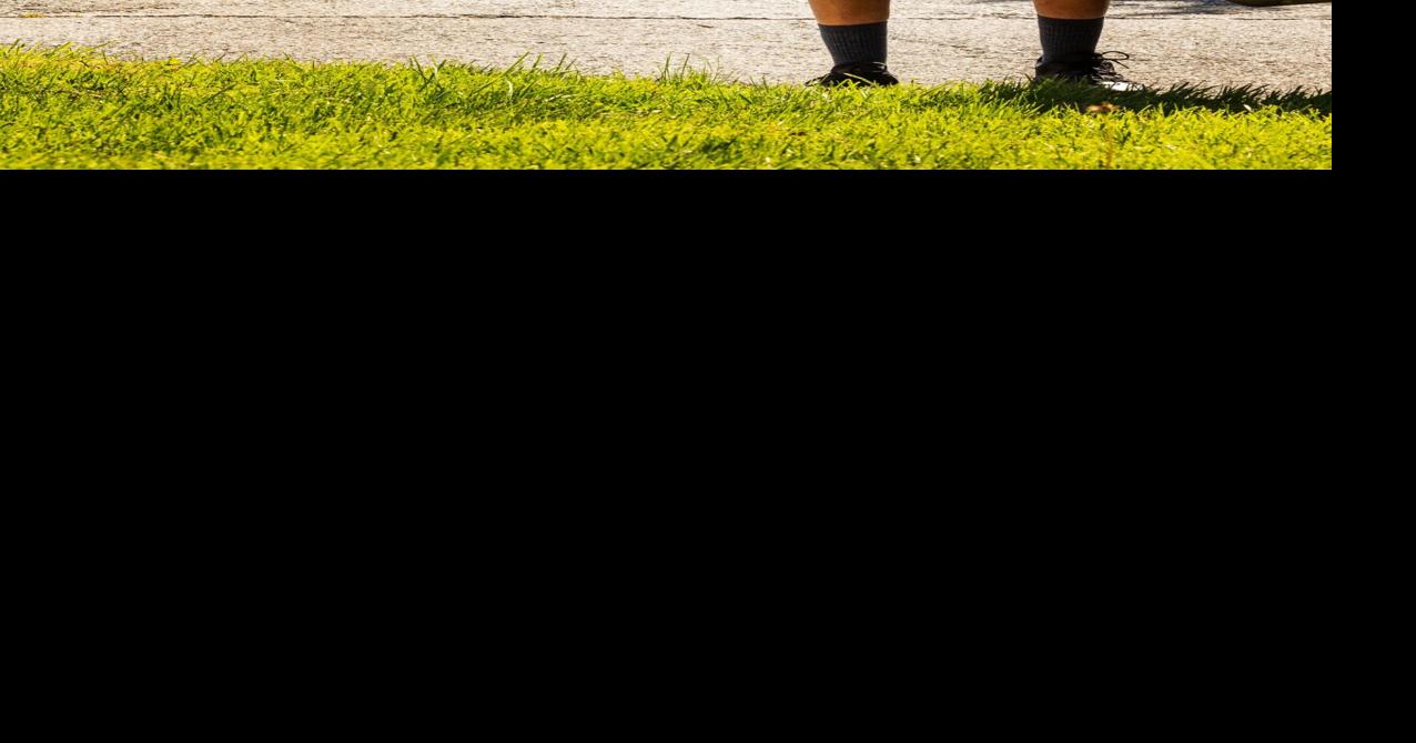 How to keep both your pets and mail carriers safe this National Dog ...