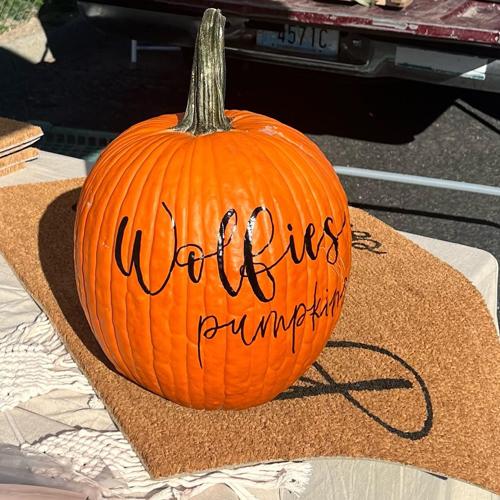 October fun in full swing at local pumpkin patches | News | nbcrightnow.com