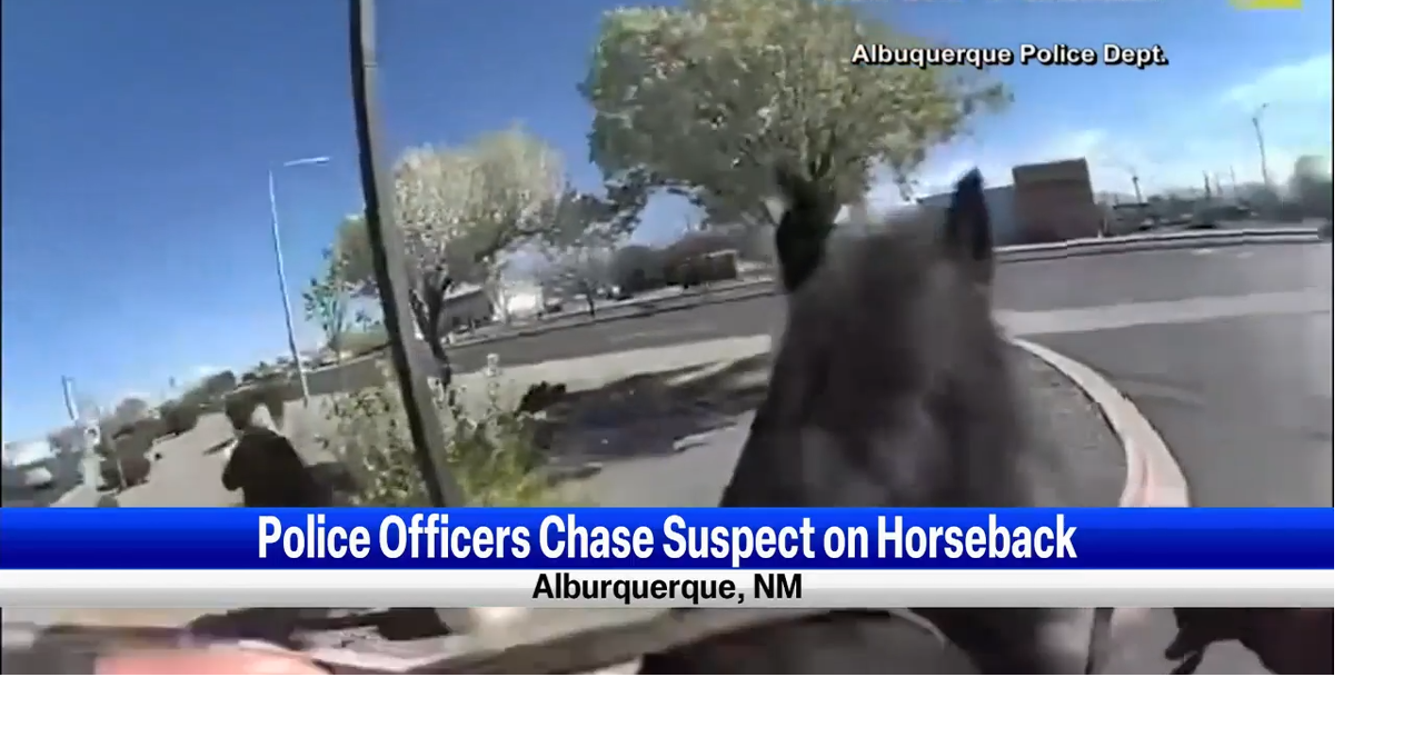 Albuquerque Police Give Chase on Horseback | Northwest & National News ...