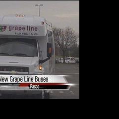 New Grape Line buses arrive | News | nbcrightnow.com