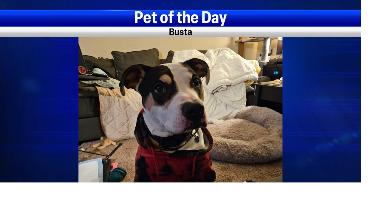 Pet of the Day: Busta | Video | nbcrightnow.com