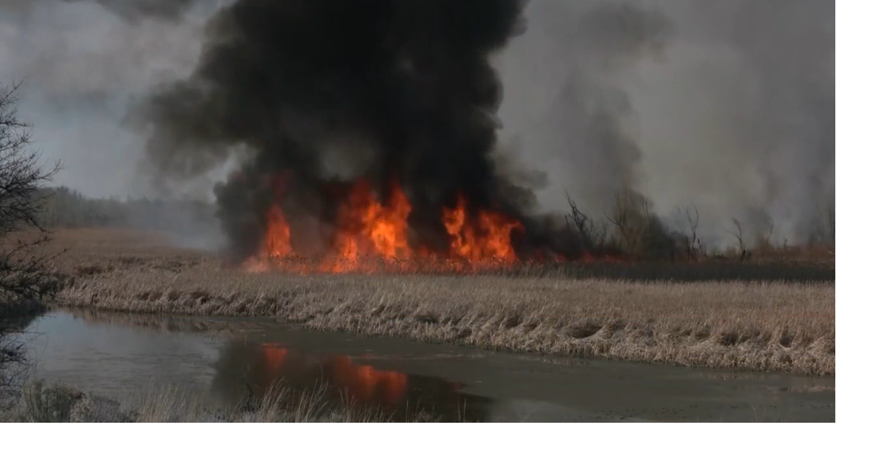 City of Richland to oversee controlled burn to keep Yakima Delta fire ...