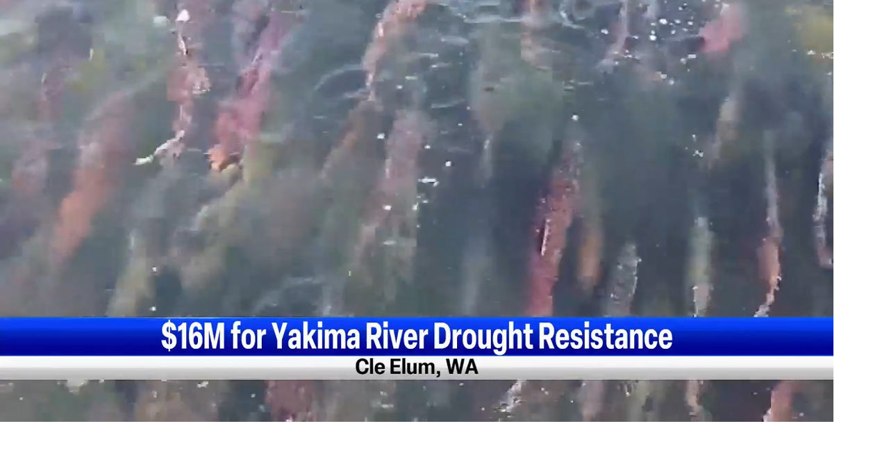 Officials meet for opening of salmon, steelhead habitat above Cle Elum ...