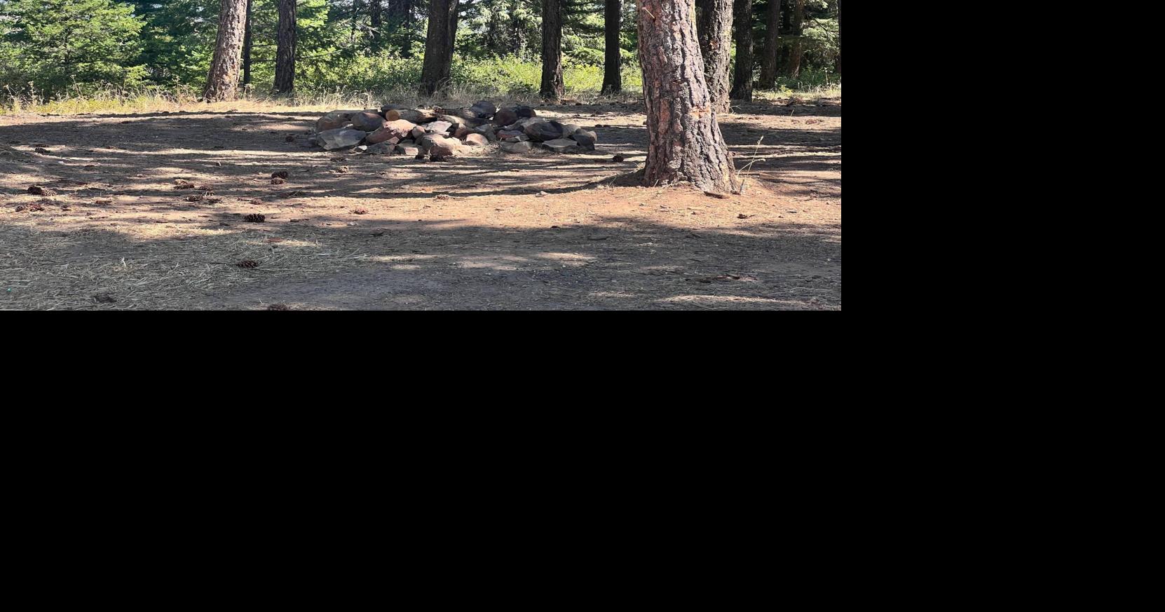 Washington DNR gets $15 million to acquire land, preserve Cle Elum ...