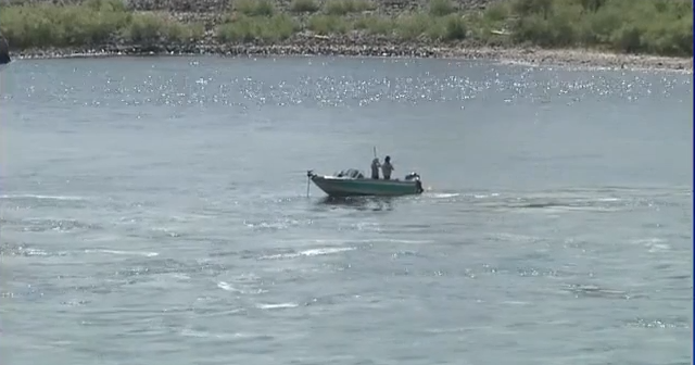 Trump seeks to pull out of salmon restoration agreement | Non-stop ...