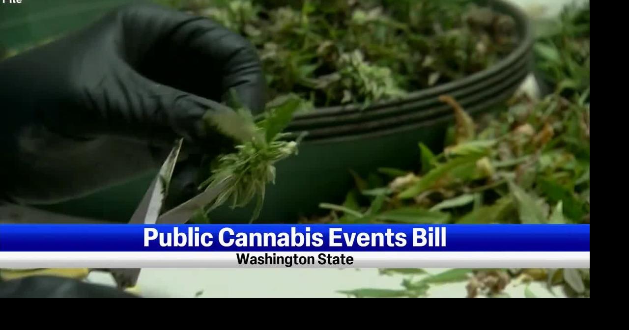 Washington state bill could allow cannabis use in publicly regulated ...