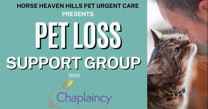 Pet loss support groups starting in September in Kennewick | News ...