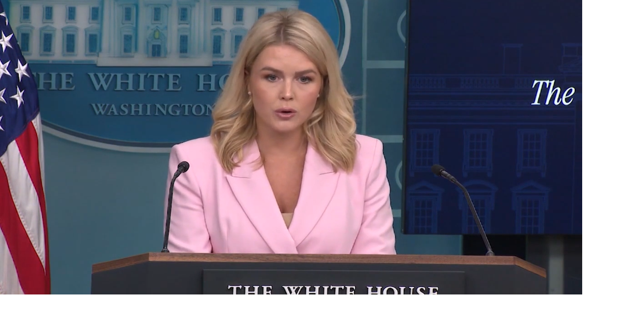 White House calls for permanent ceasefire amid Putin's pause | News ...