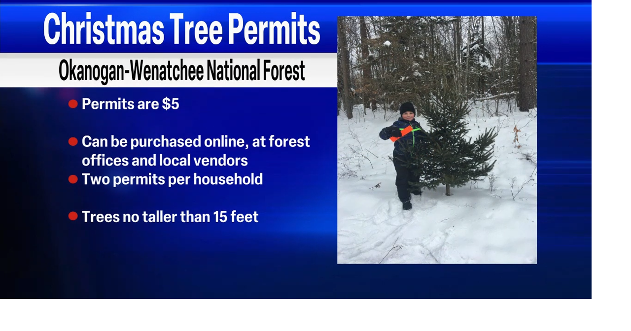 Christmas tree cutting permits available now | News | nbcrightnow.com