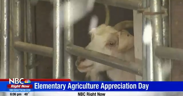 Elementary Agriculture Appreciation Day teaches Kittitas County ...