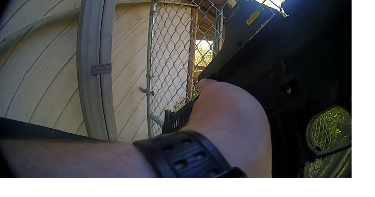New body cam footage of Sheriff's Deputy shooting 'Buck' the chimpanzee ...
