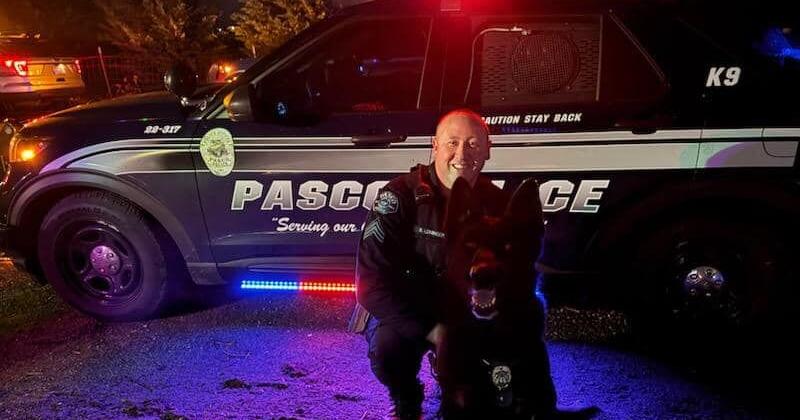 K9 Zador helps BCSO with drug bust | | nbcrightnow.com