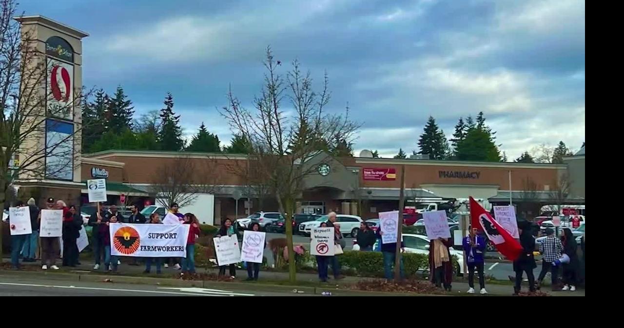 United Farm Workers announce boycott of Sunnyside mushroom farm | News ...