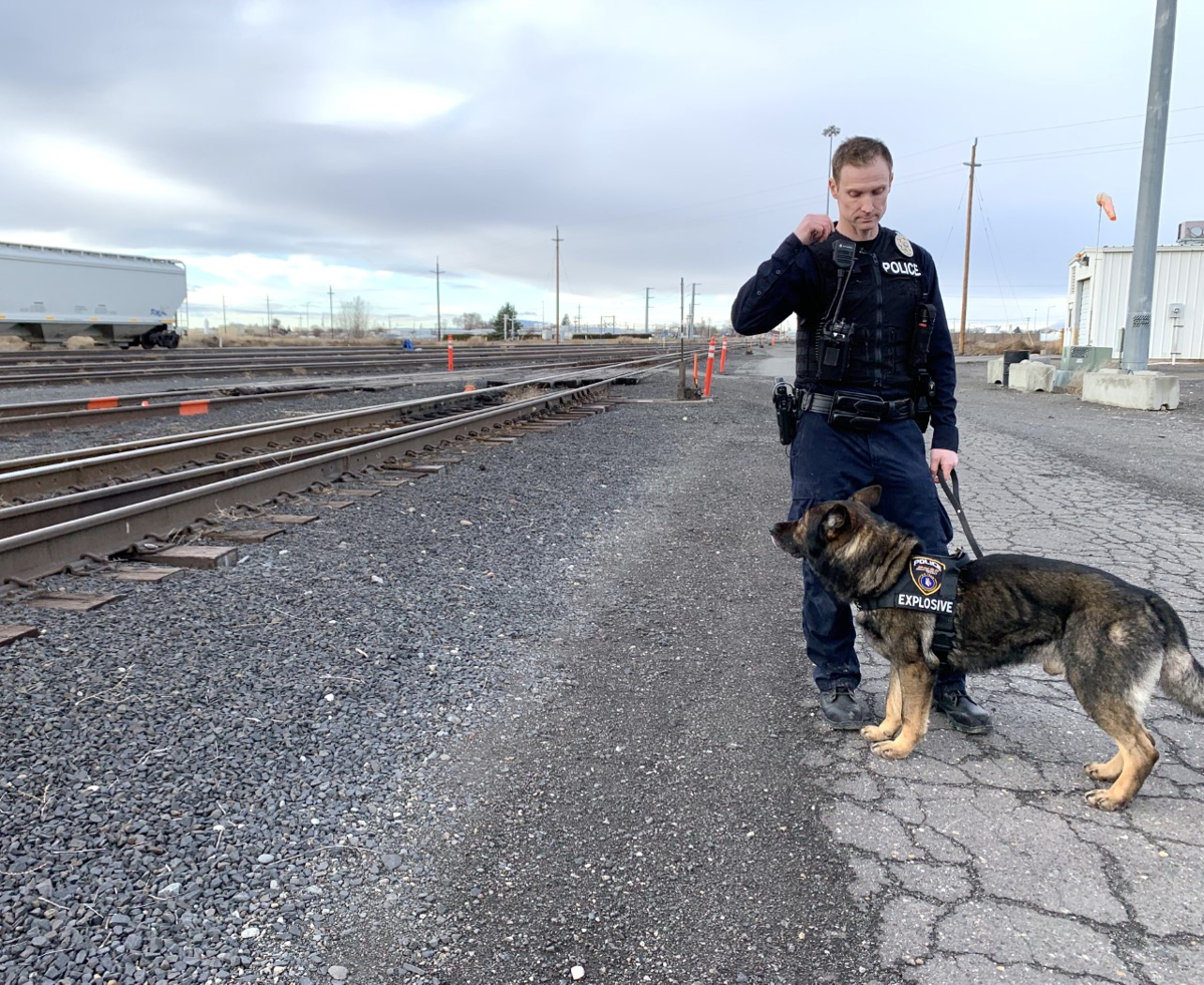 Meet Quinn, a member of BNSF's K-9 program | News | nbcrightnow.com