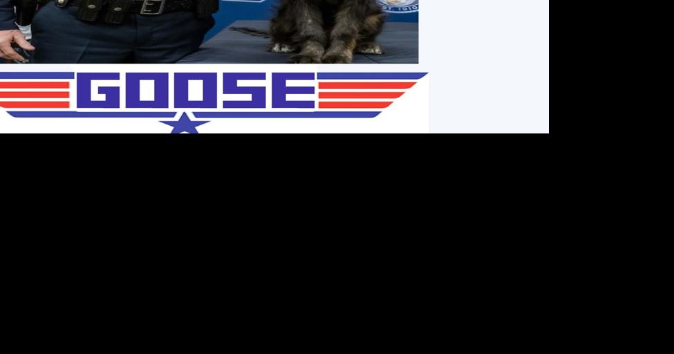 New Pasco police 'community K9' will offer support at headquarters ...