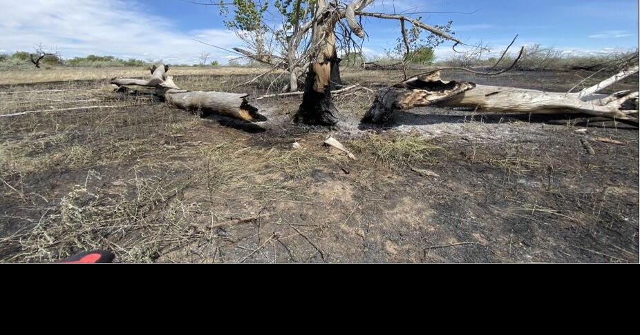 Bateman Island reopens after lightning causes 2.5 acre fire | News ...