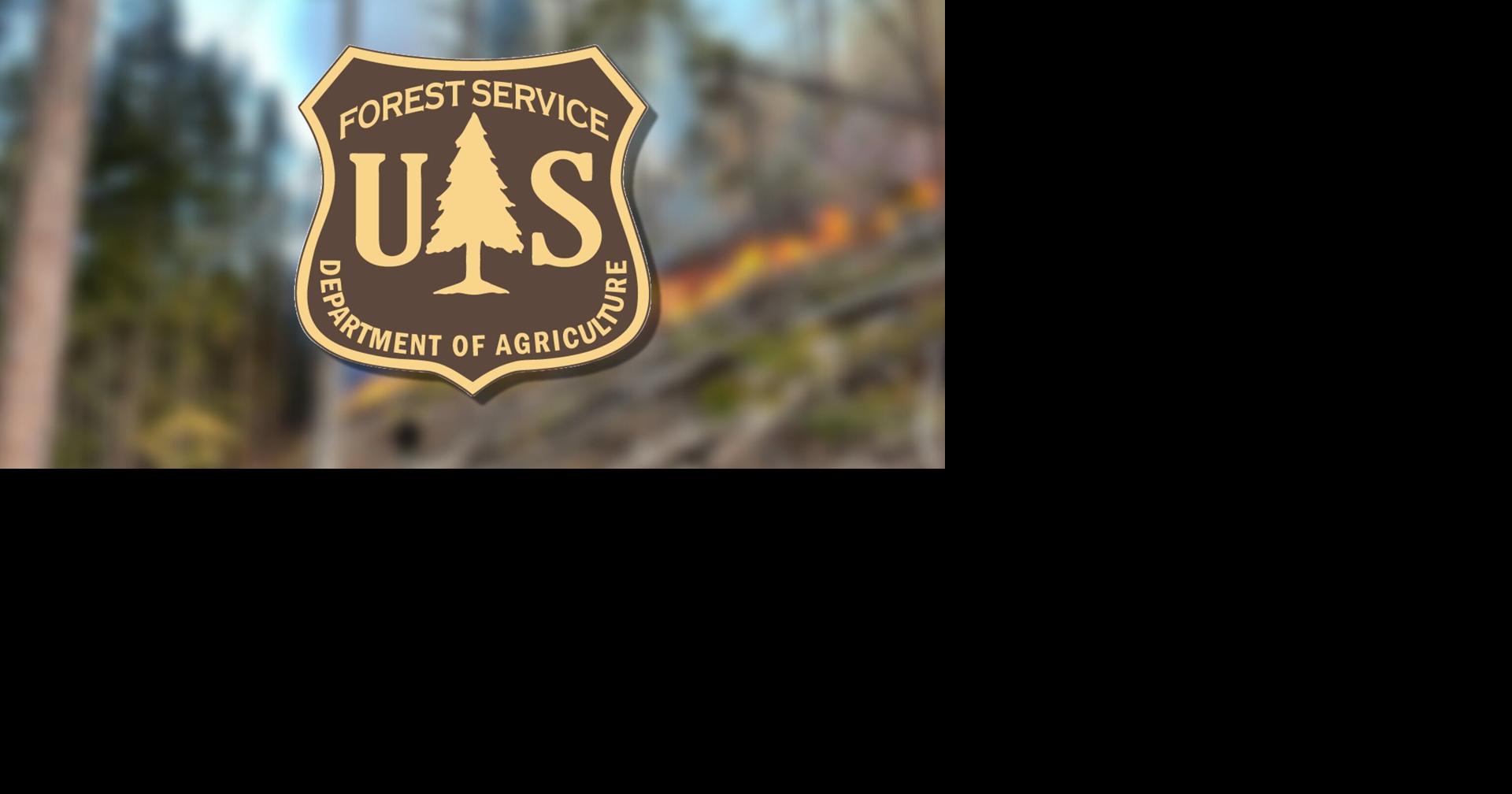 Washington receives over $1 million for forest preservation | Regional ...