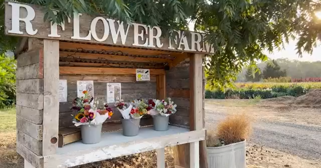 Prosser farm helping raise money for local 3-year-old during Childhood ...