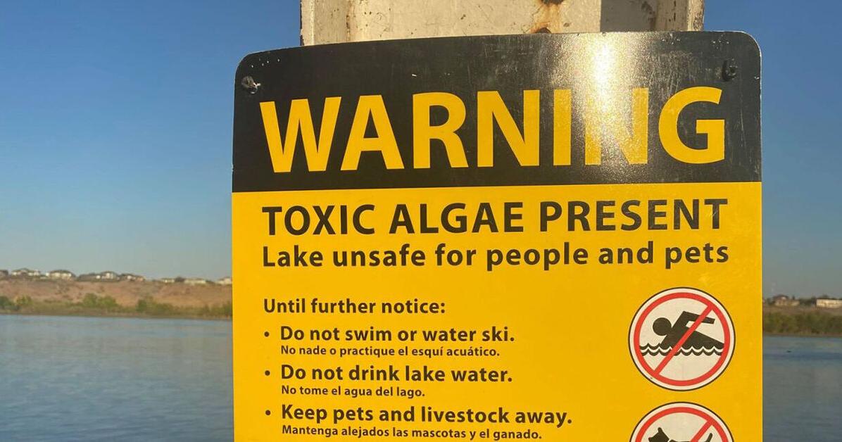 Columbia River shoreline closed due to toxic algae, deadly to children ...