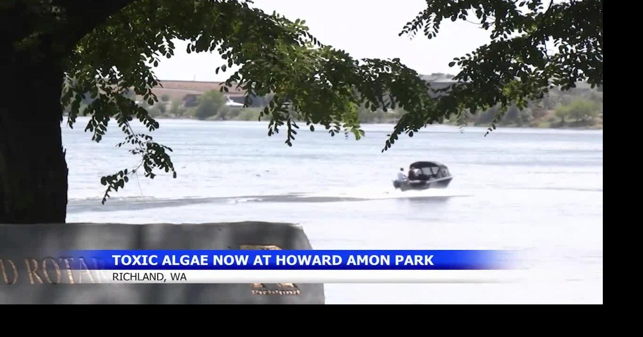 Columbia River algae warning in Richland, high toxin levels detected ...