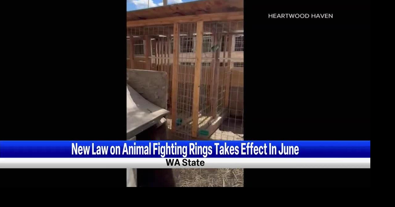 New law on animal fighting rings goes into effect June 1 | News ...