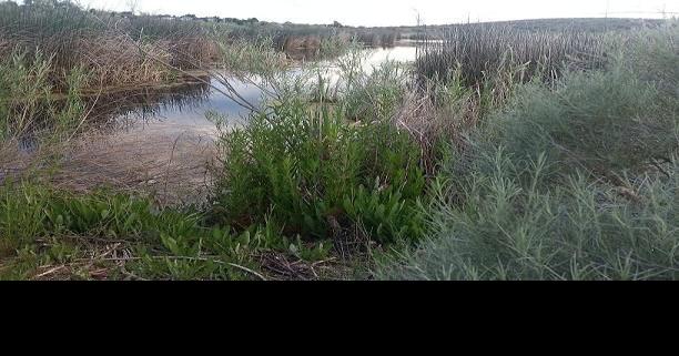 Richland City Council Rezones Amon Creek Natural Preserve Area ...