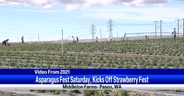Middleton Farms kicking off Strawberry, Asparagus Festivals on May 25 ...