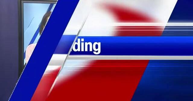 NonStop Local Pet of the Day: Athena | Top Video | nbcrightnow.com