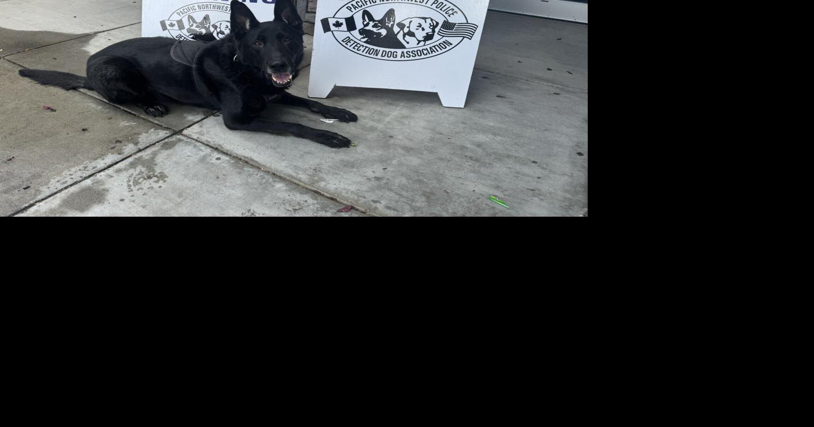 Pasco hosts 2025 PNW K9 Conference with top dog trainers | News ...