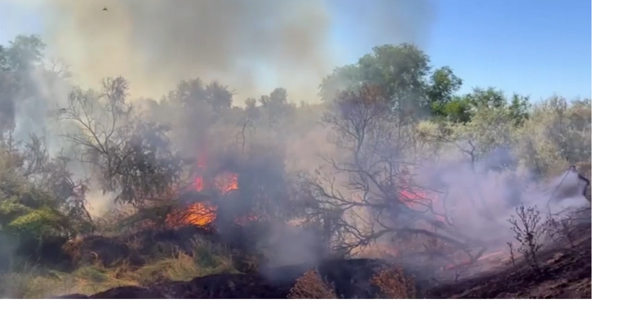 Morning news update July 19: Oxbow Trail fire contained and a wrong-way ...