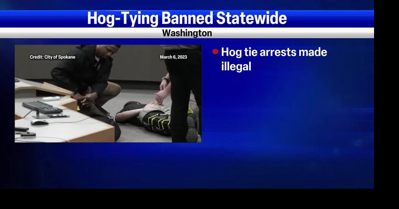 Hog-tying banned across Washington | News | nbcrightnow.com