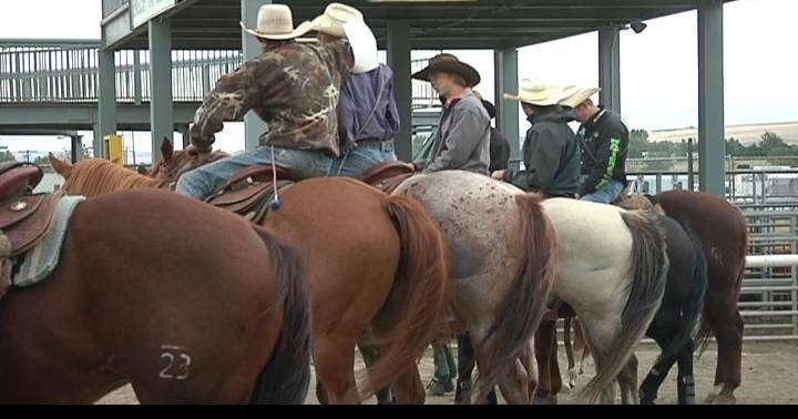 Future Stars Of Rodeo Compete In Kennewick | Archives | nbcrightnow.com