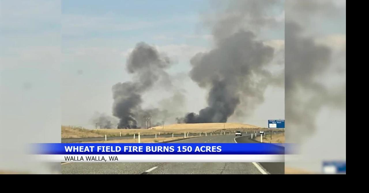 Firefighters tackle 150-acre wheat field fire near Walla Walla | News ...