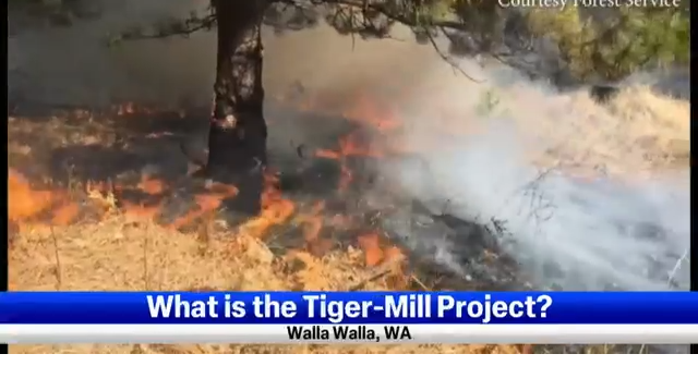 Tiger Mill water project | Top Video | nbcrightnow.com