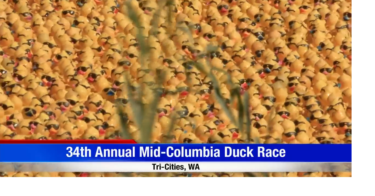 Winner announced for 2022 Mid-Columbia Duck Race | News | nbcrightnow.com