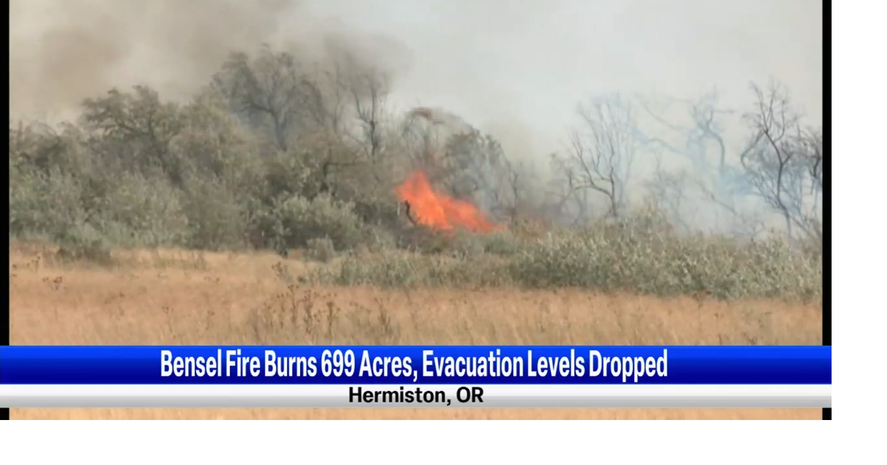 Wake Up Morning Rush: Bensel Fire update, Yellepit Fire out and sunny ...