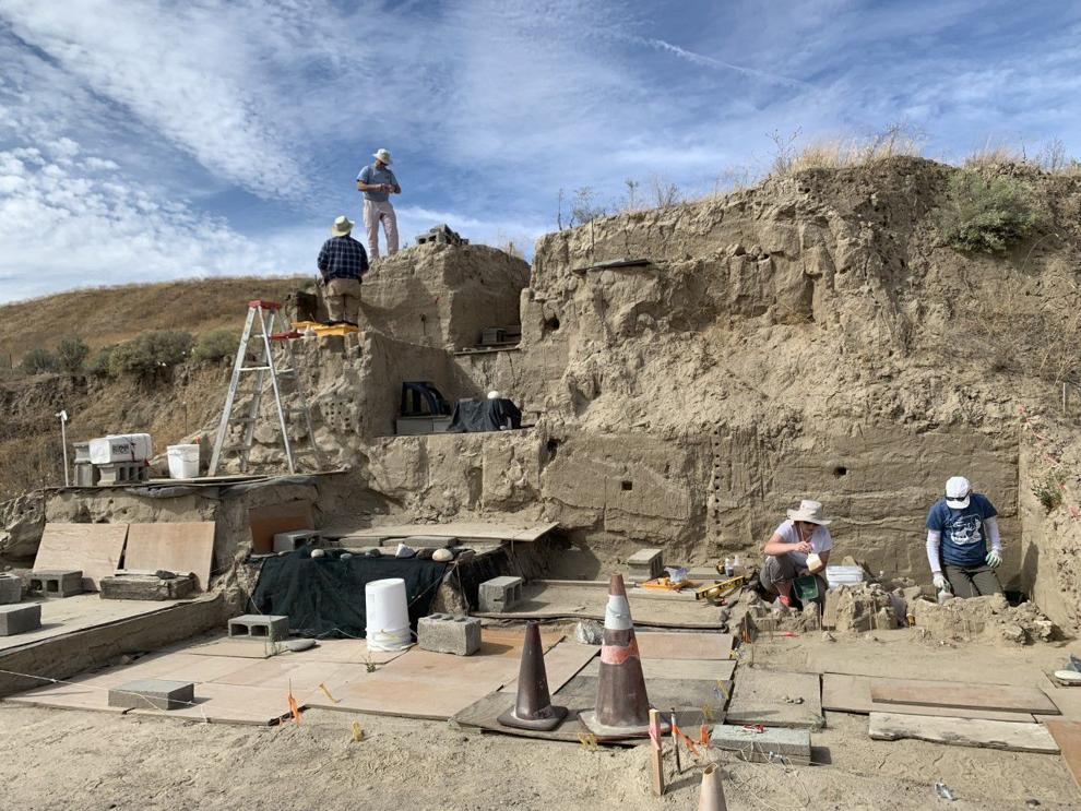Researchers dig up Mammoth bones thousands of years old | Kndu ...