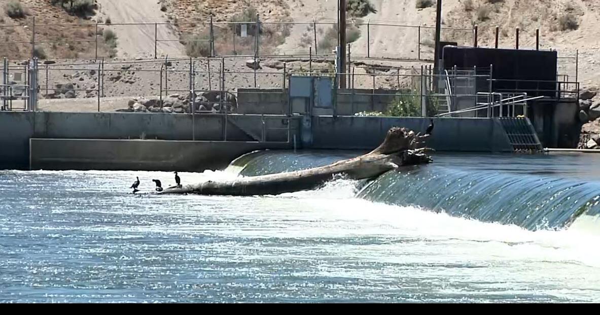 Low Head Dam Safety | News | nbcrightnow.com