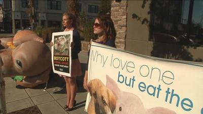 animal activist groups