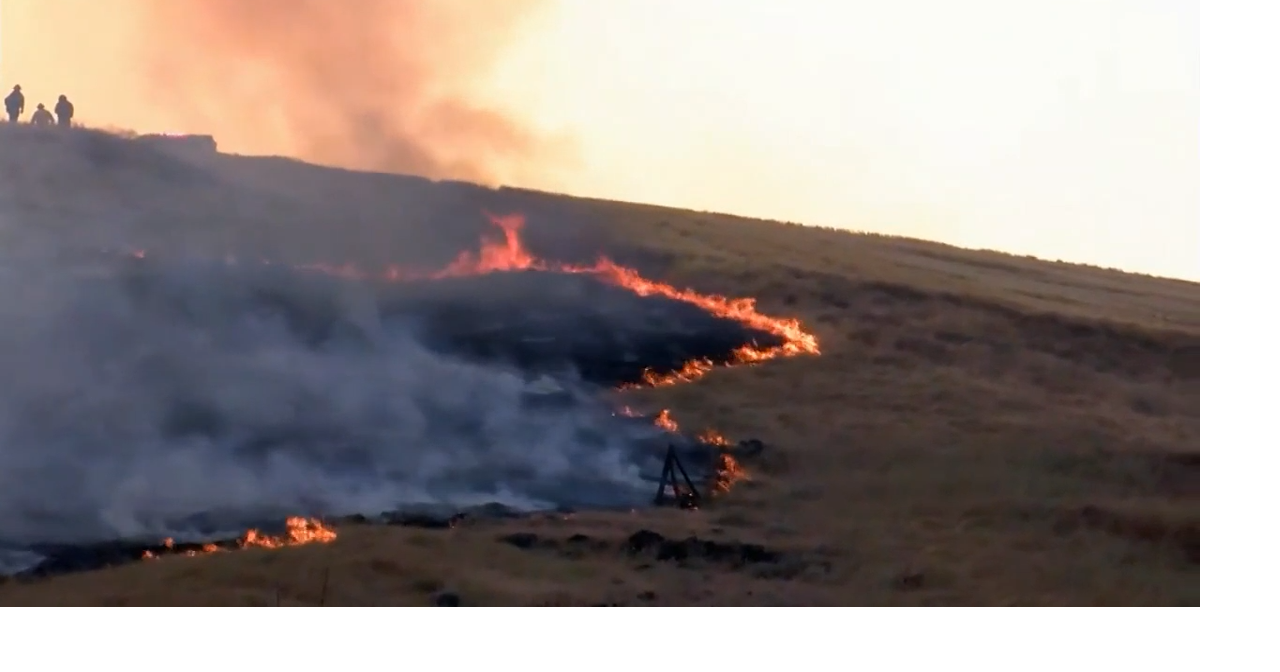Road temporarily closed for Walla Walla River Road Fire near Milton ...