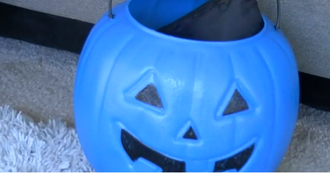 The Blue Pumpkin Project | News | nbcrightnow.com