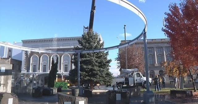 City of Yakima: the Christmas tree is arriving soon | News ...